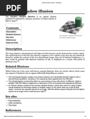 Relative Brightness Illusion