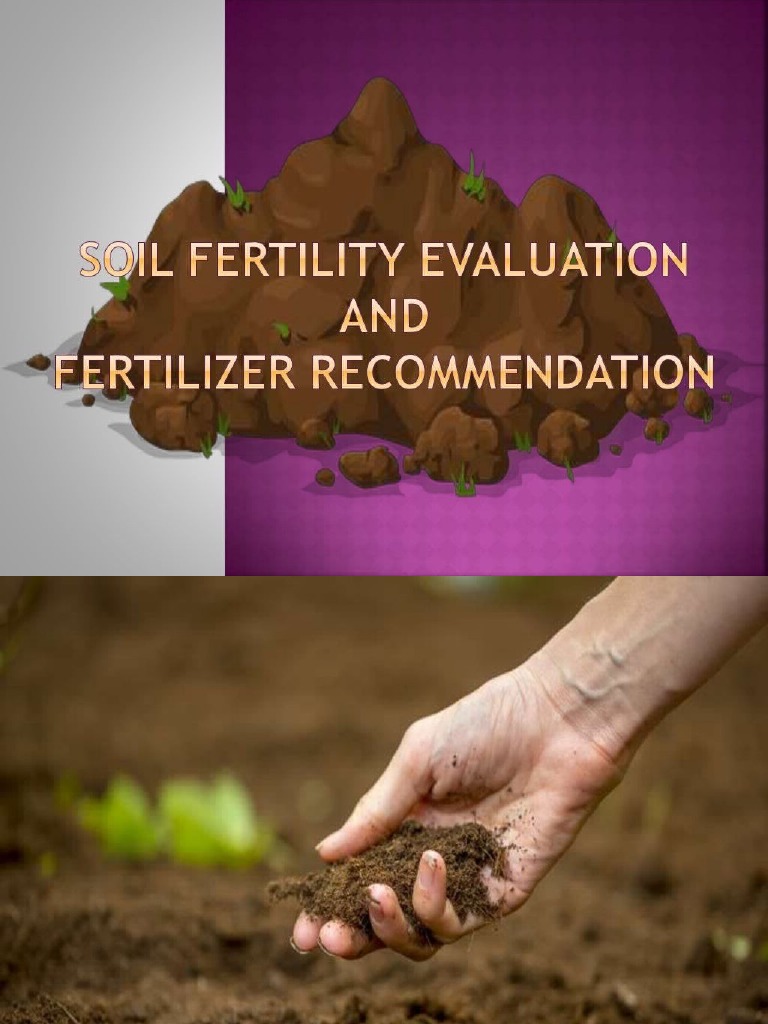 Soil Fertility Evaluation and Fertilizer Recommendation | PDF