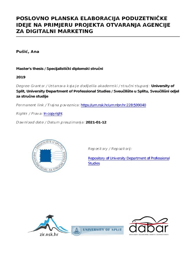 Primjer Digitalni Marketing | PDF