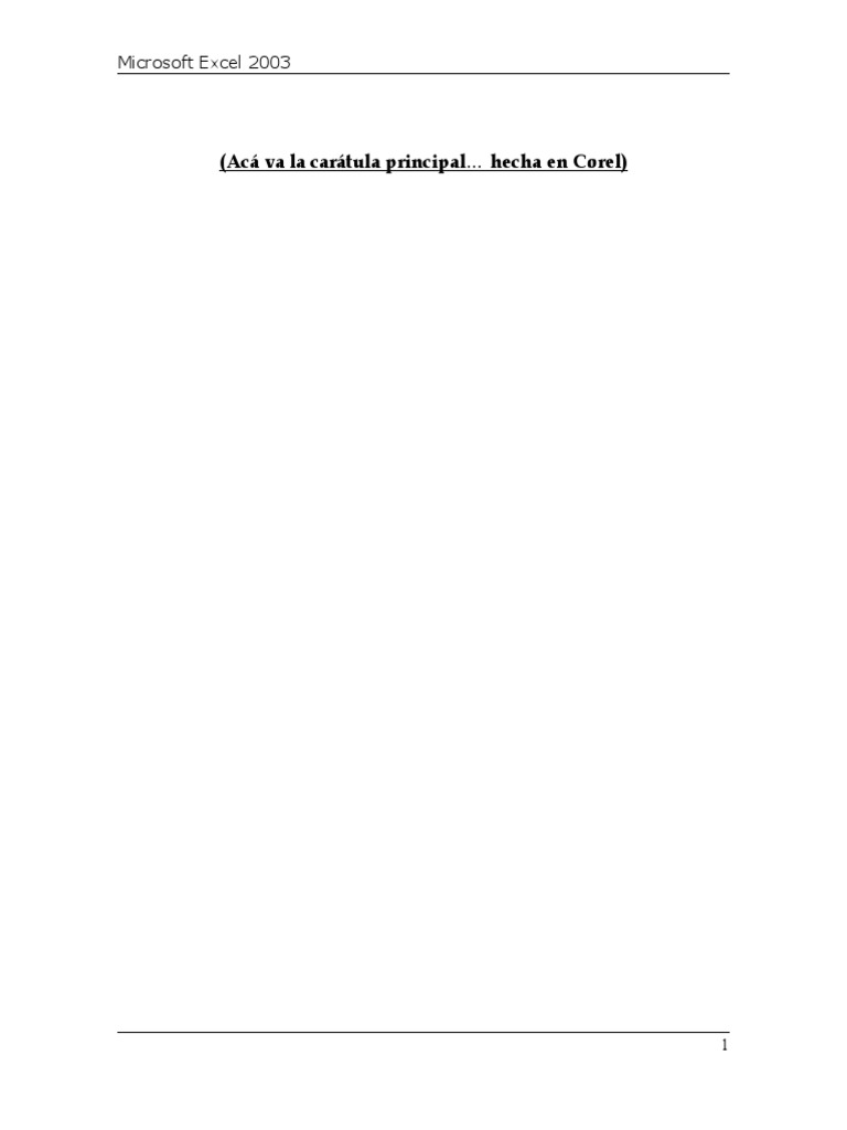 Excel 2003 - Actualizado | PDF | Hoja de cálculo | Microsoft Excel