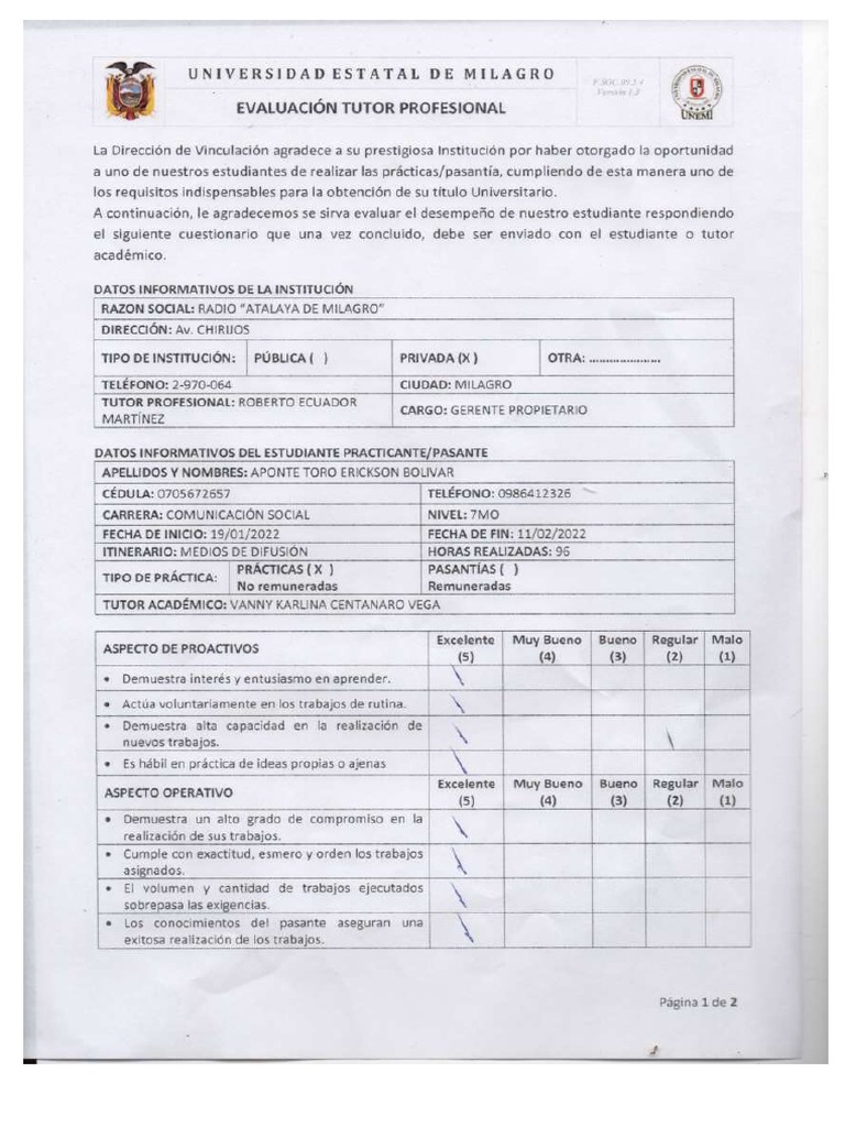 Evaluación Tutor Profesional | PDF