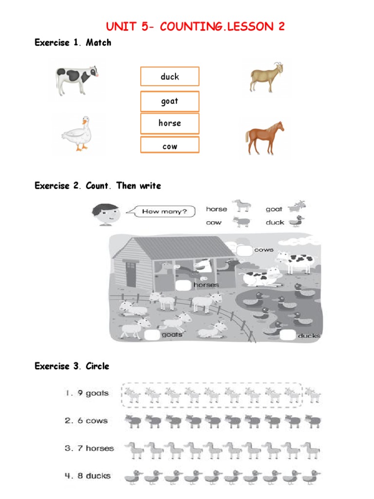 Unit 5.lesson 2-Homework | PDF