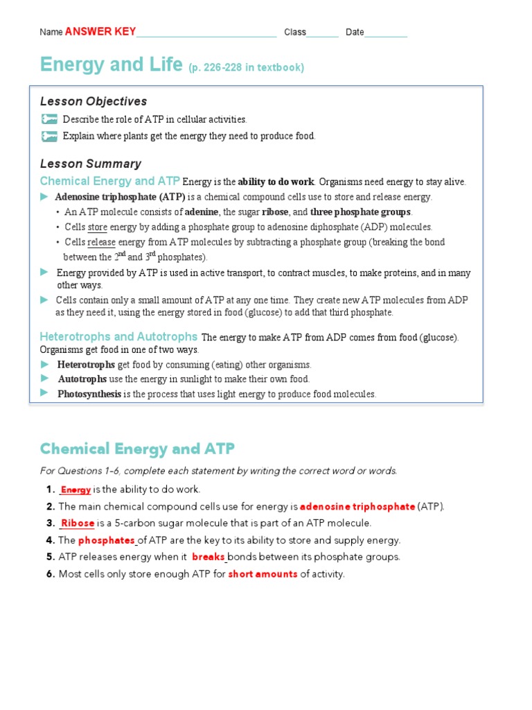 Chemical Energy and ATP: The Universal Energy Currency of Cells | PDF ...