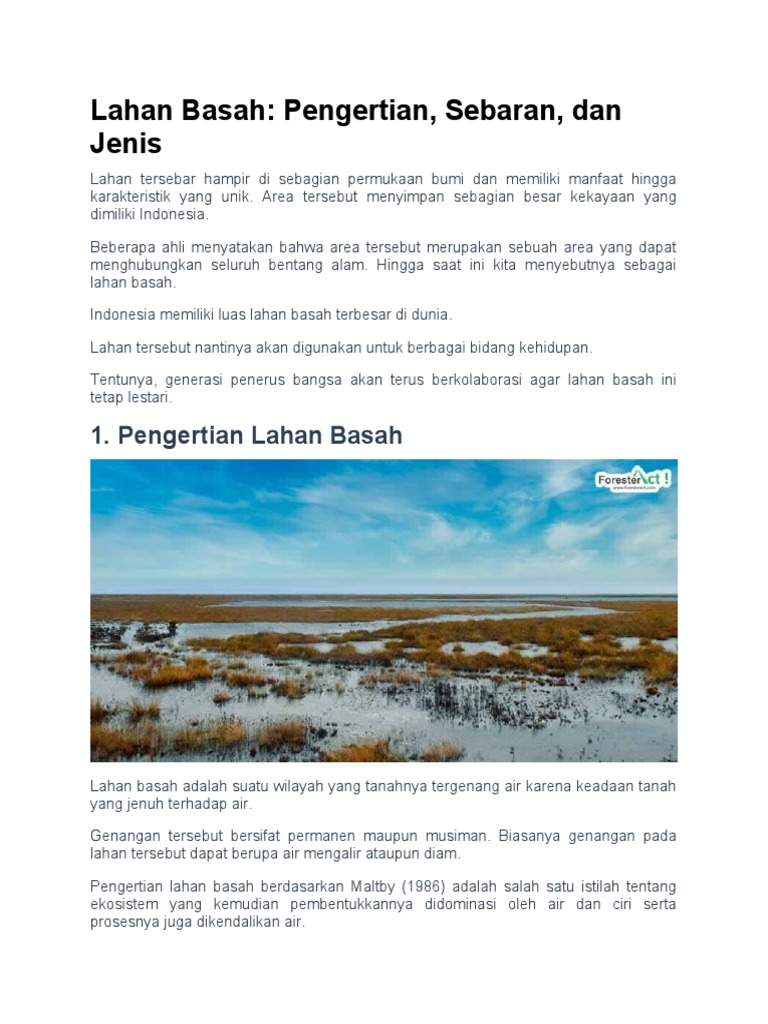 Lahan Basah | PDF