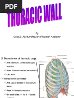 Chapman Points Table | PDF | Anatomical Terms Of Location | Neck