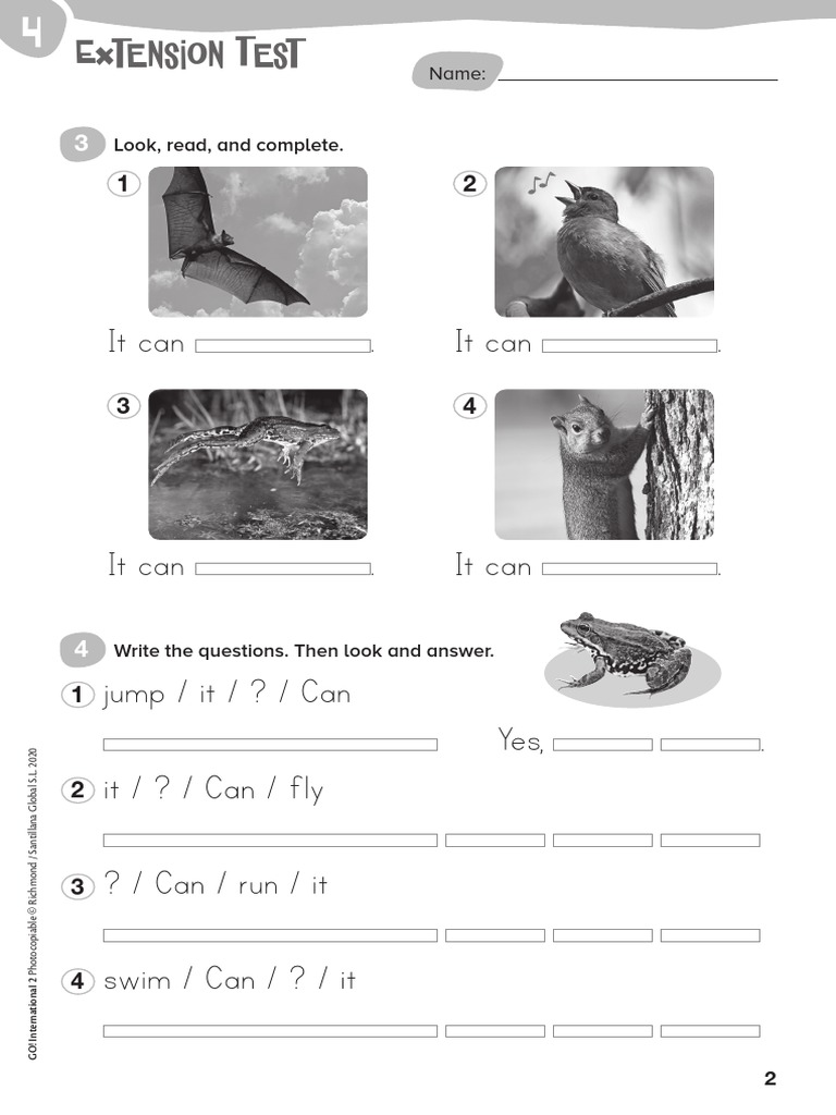 Go Int 2 Unit 4 Extension Test | PDF