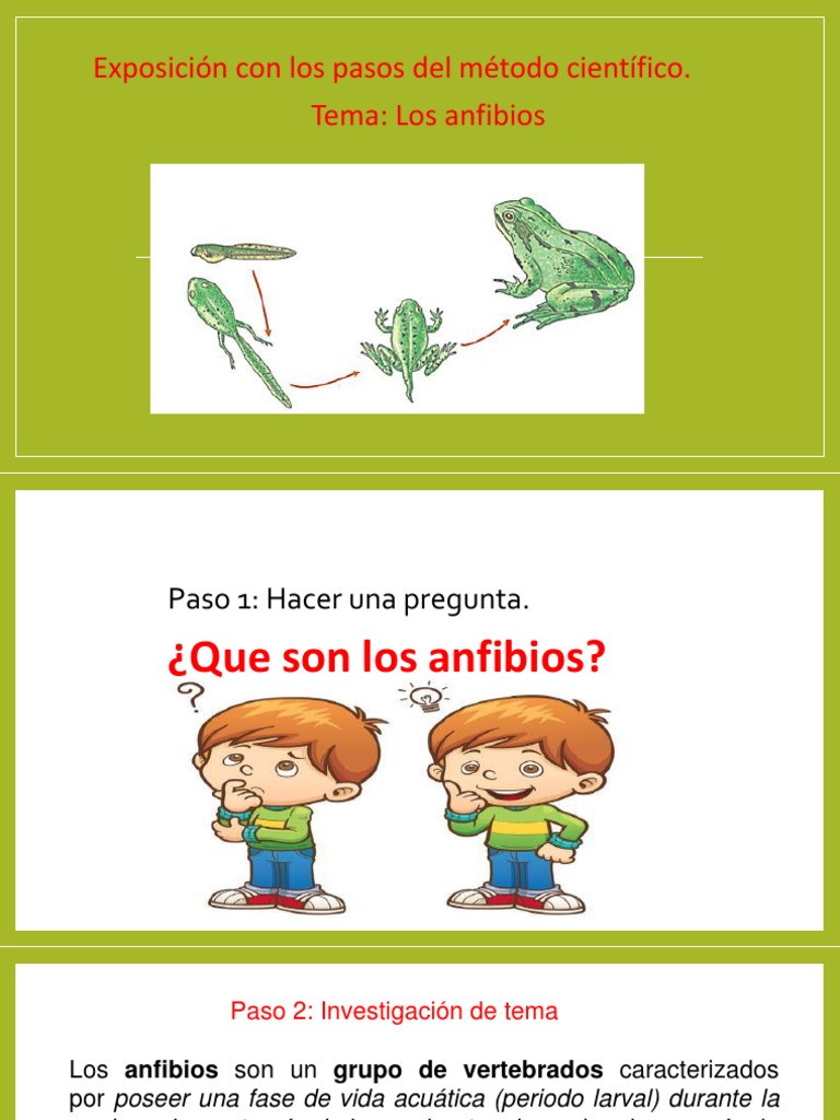 Presentación, Los Anfibios | PDF