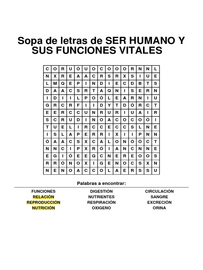Sopa de letras: funciones vitales humanas | PDF | Fisiología ...