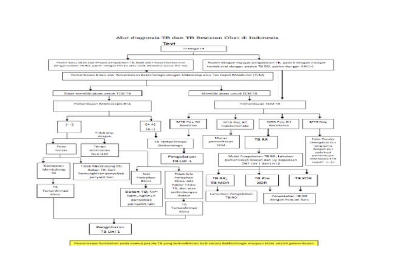 Alur Diagnosa TB | PDF