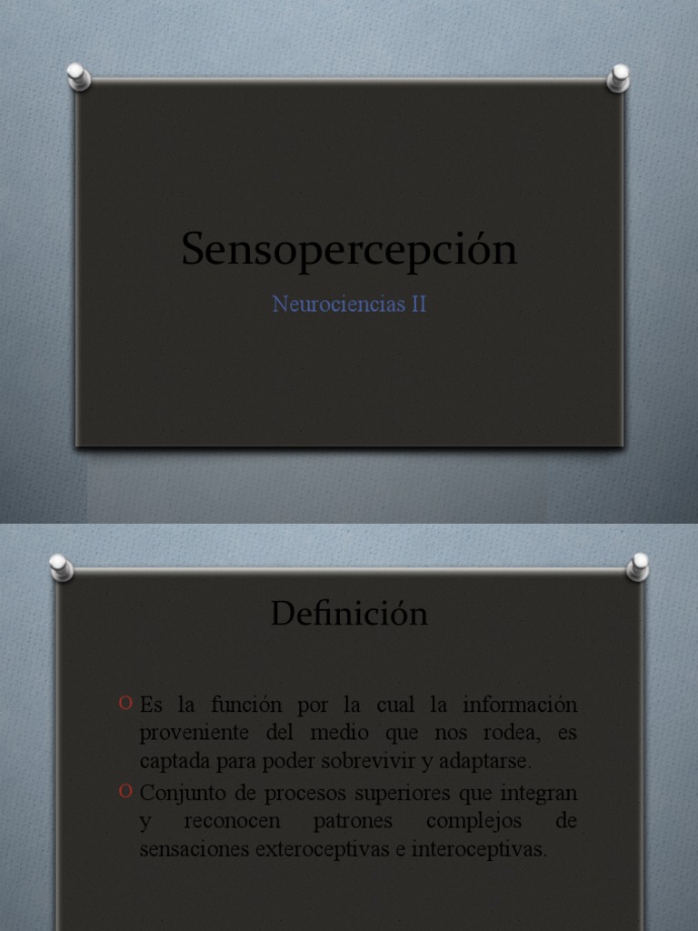 Neurociencias II 4 9 17 Sensopercepción | PDF | Percepción | Metafísica de la mente