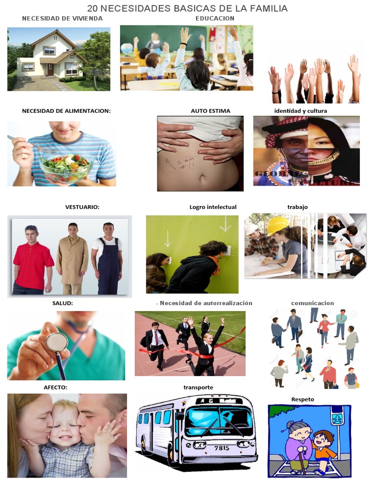 20 Necesidades Basicas de La Familia | PDF