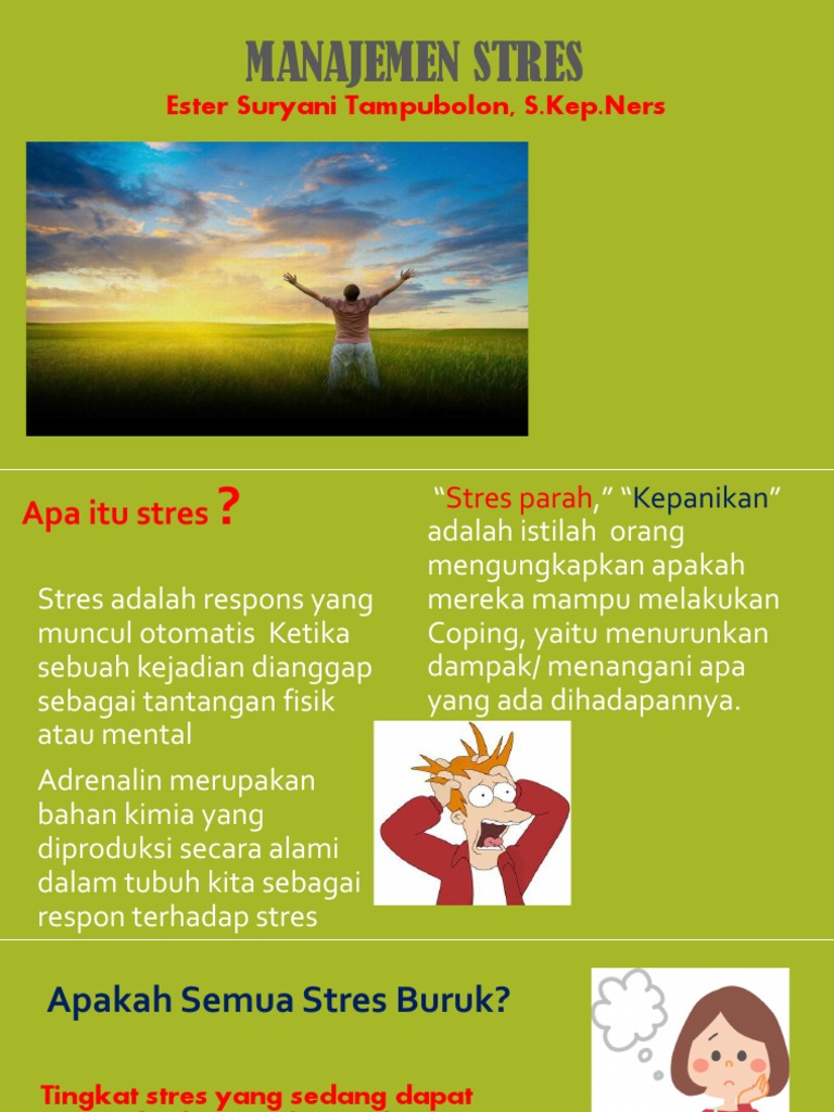 Manajemen Stres di Tempat Kerja | PDF