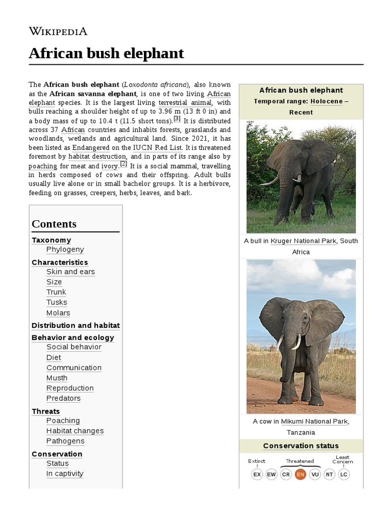 African Bush Elephant | PDF