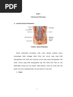 Struktur dan Fungsi Sistem Perkemihan | PDF