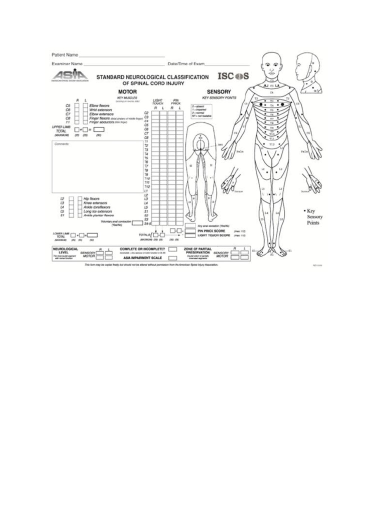 Form Asia Score | PDF