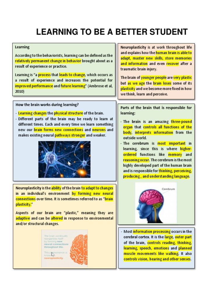 Learning To Be A Better Student | PDF | Metacognition | Neuroplasticity