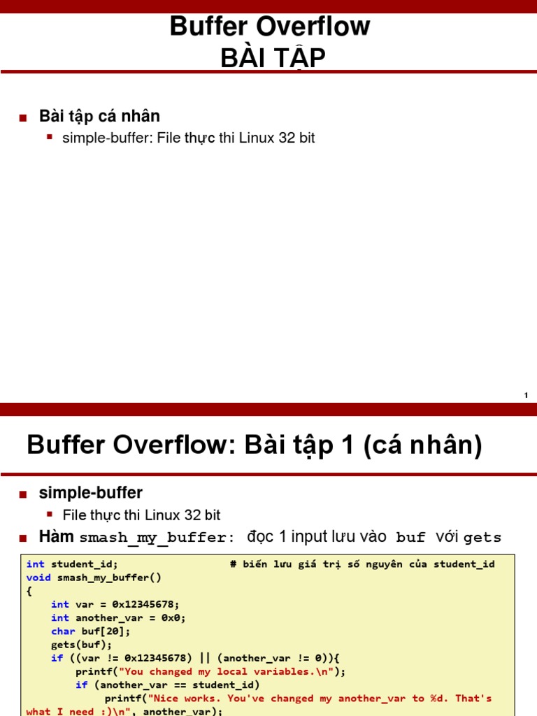 Buffer Overflow | PDF