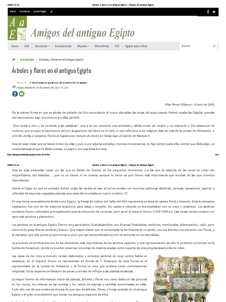 Árboles y flores en el antiguo Egipto – Amigos del antiguo Egipto | PDF | Papiro | Antiguo Egipto