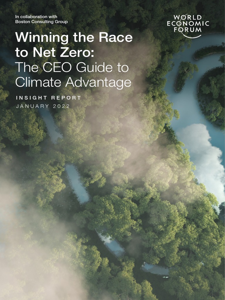 WEF_Winning_the_Race_to_Net_Zero_2022 | PDF | International Energy ...