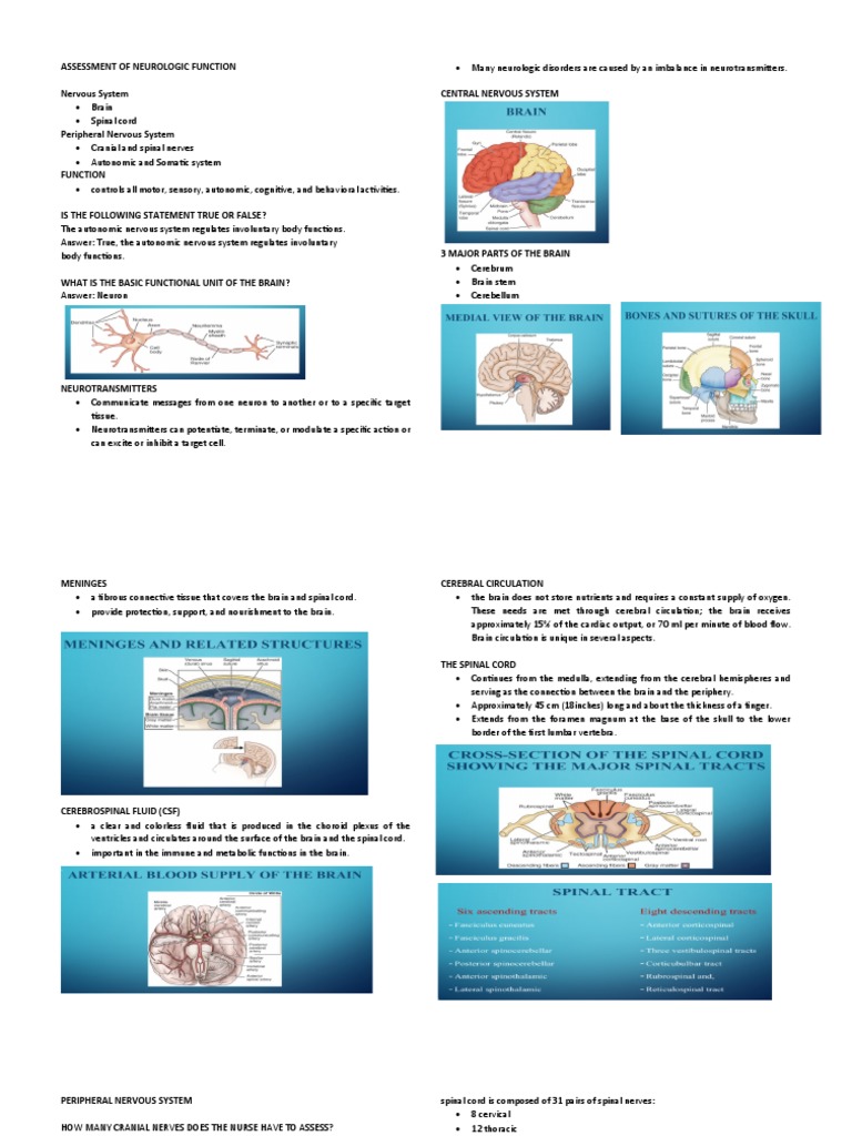 NCM 116 Medical Surgical Reviewer | PDF | Autonomic Nervous System ...