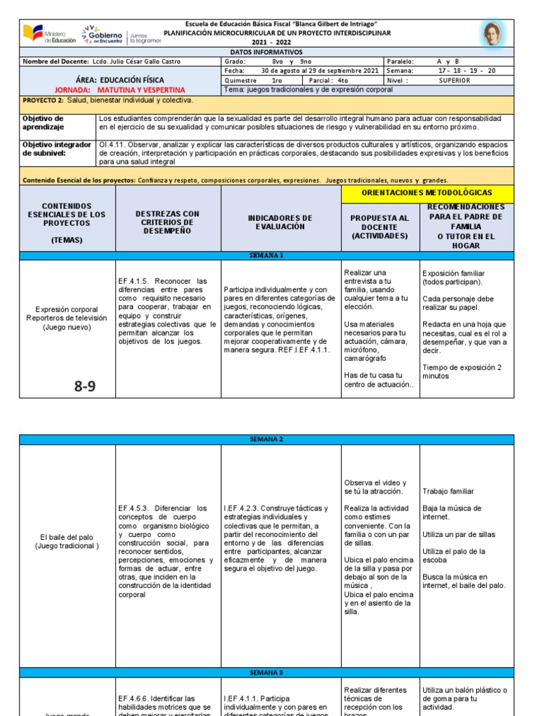 Planificacion 2021 - Basica Superior 8vo y 9no - Proyecto 4 | PDF ...