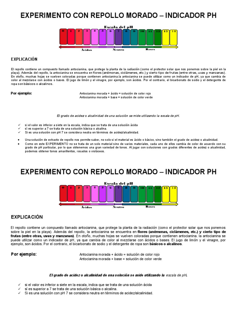 Escala De Ph Con Repollo Morado Pdf Ph Color