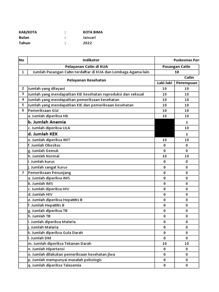 Form Laporan Catin Kota Bima 2022 | PDF