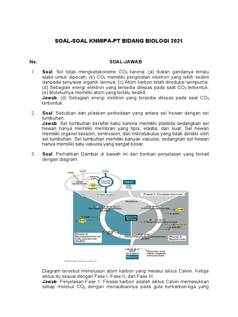 Edit Soal-Jawab Knmipa-Pt 2021 | PDF