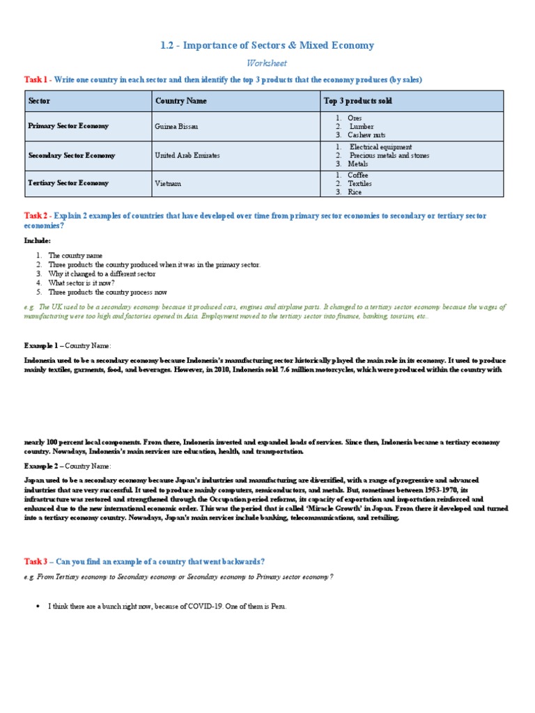 1.2 - Importance of Sectors & Mixed Economy: Worksheet | PDF ...