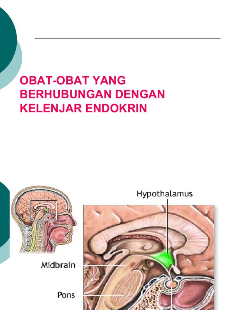 Hipotalamus Hipofisis | PDF