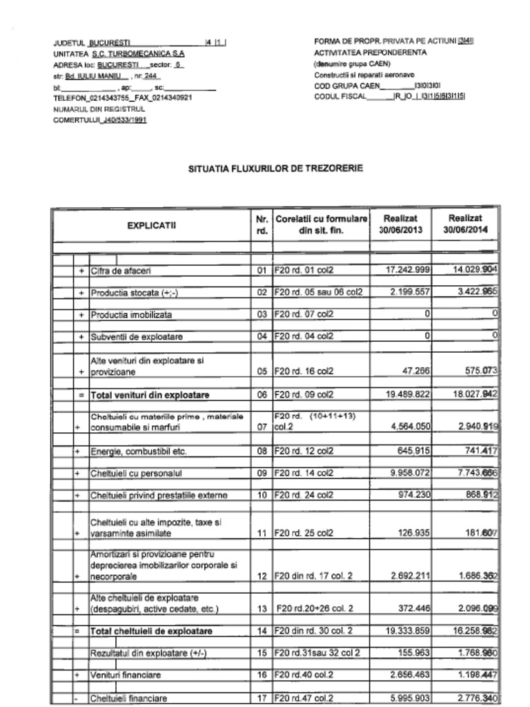 Situatia Fluxurilor de Trezorerie 1 | PDF