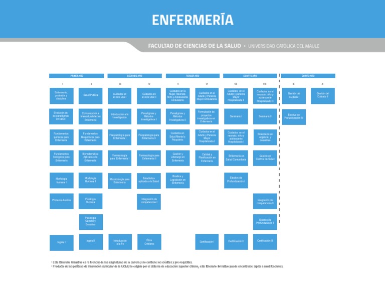 Malla Enfermeria 2019 | PDF | Enfermería | Ciencias de la Salud