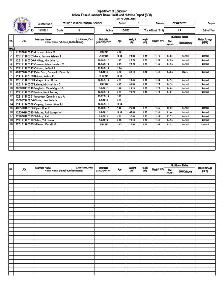 Department of Education School Form 8 Learner's Basic Health and ...