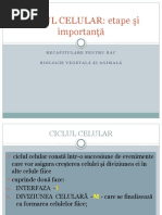 Tabel Manuale Scolare | PDF