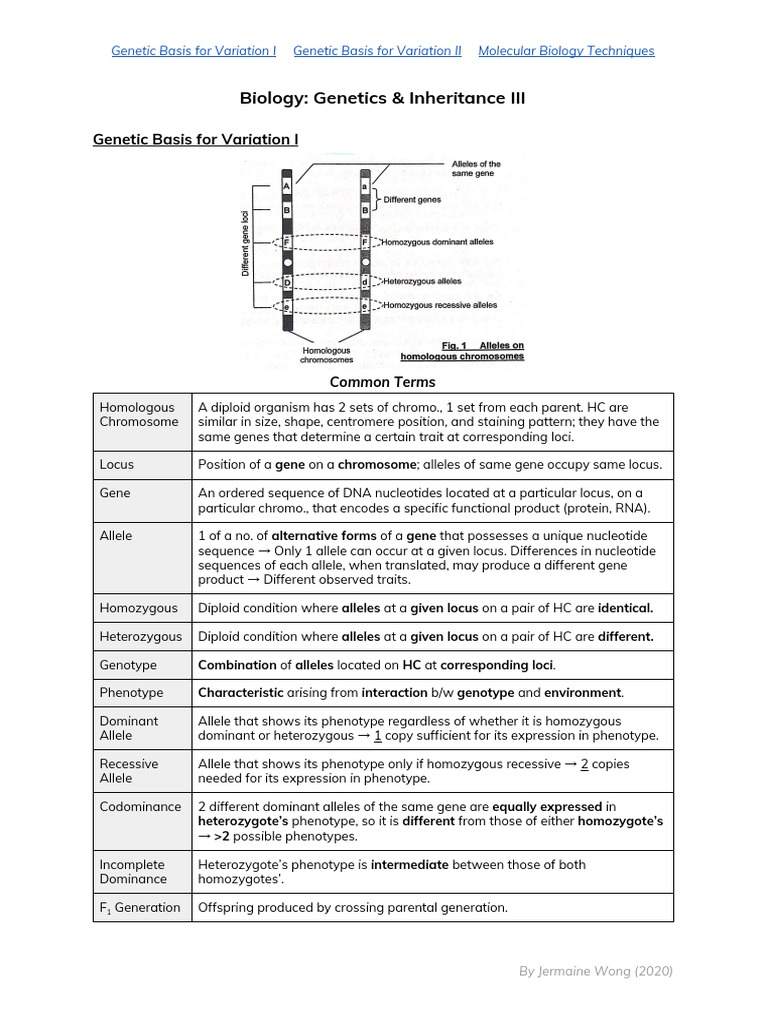 Biology: Genetics & Inheritance III: Genetic Basis For Variation I ...