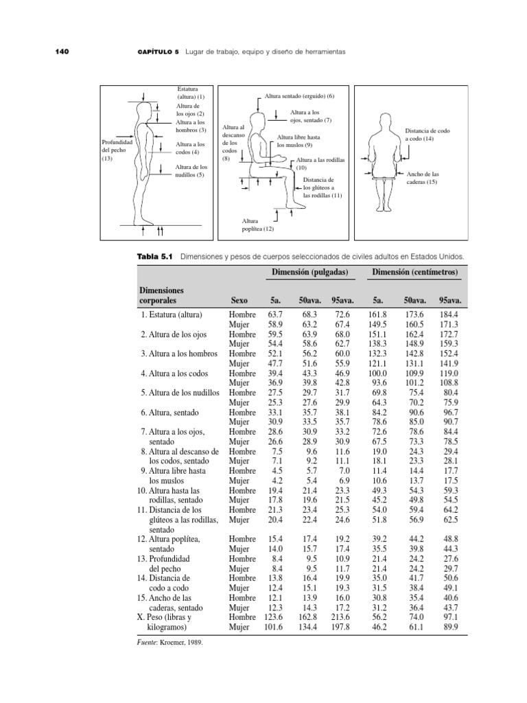 Estados Unidos - Dimensiones Antropométricas Población EEUU | PDF