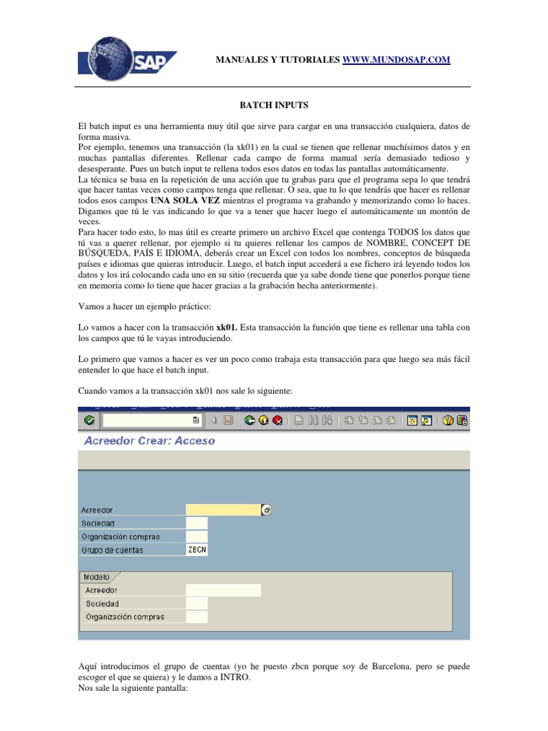 Cómo utilizar el batch input en SAP para cargar datos masivamente | PDF ...