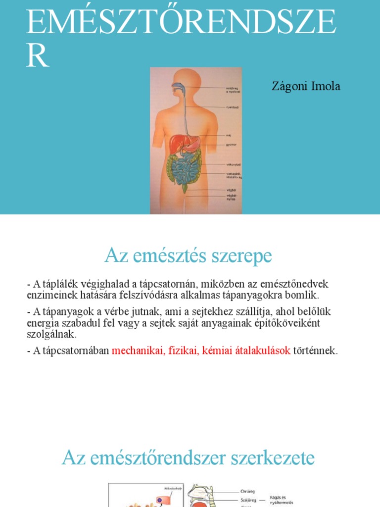 Emesztorendszer Zagoni-Imola | PDF
