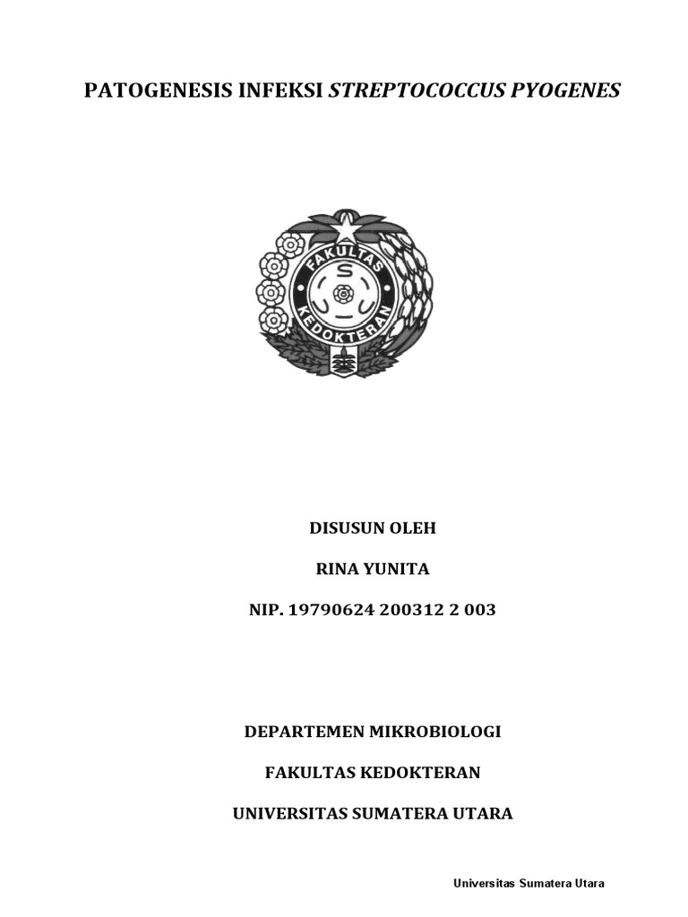 Patogenesis Infeksi Streptococcus Pyogenes | PDF