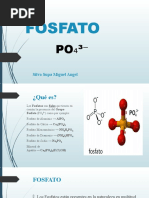 ¿Qué Es El Grupo Fosfato - Características y Funciones - Lifeder | PDF ...