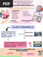 Protocolo Clave Azul en Obstetricia | PDF | Medicina CLINICA | Laboratorios