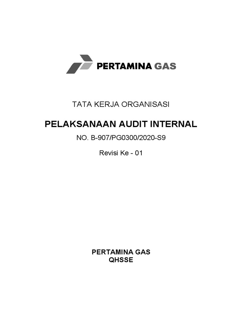 TKO Pelaksanaan Audit Internal Rev. 01 | PDF
