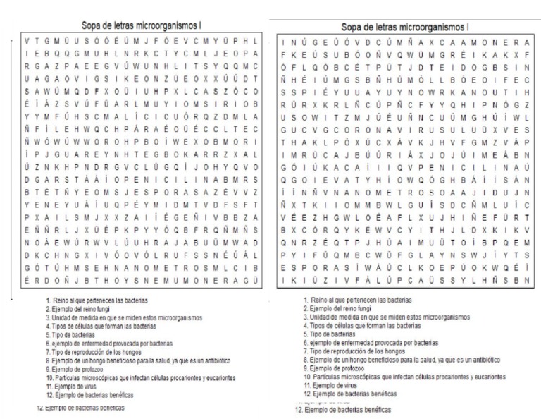 Sopa de Letras Microorganismos I | PDF