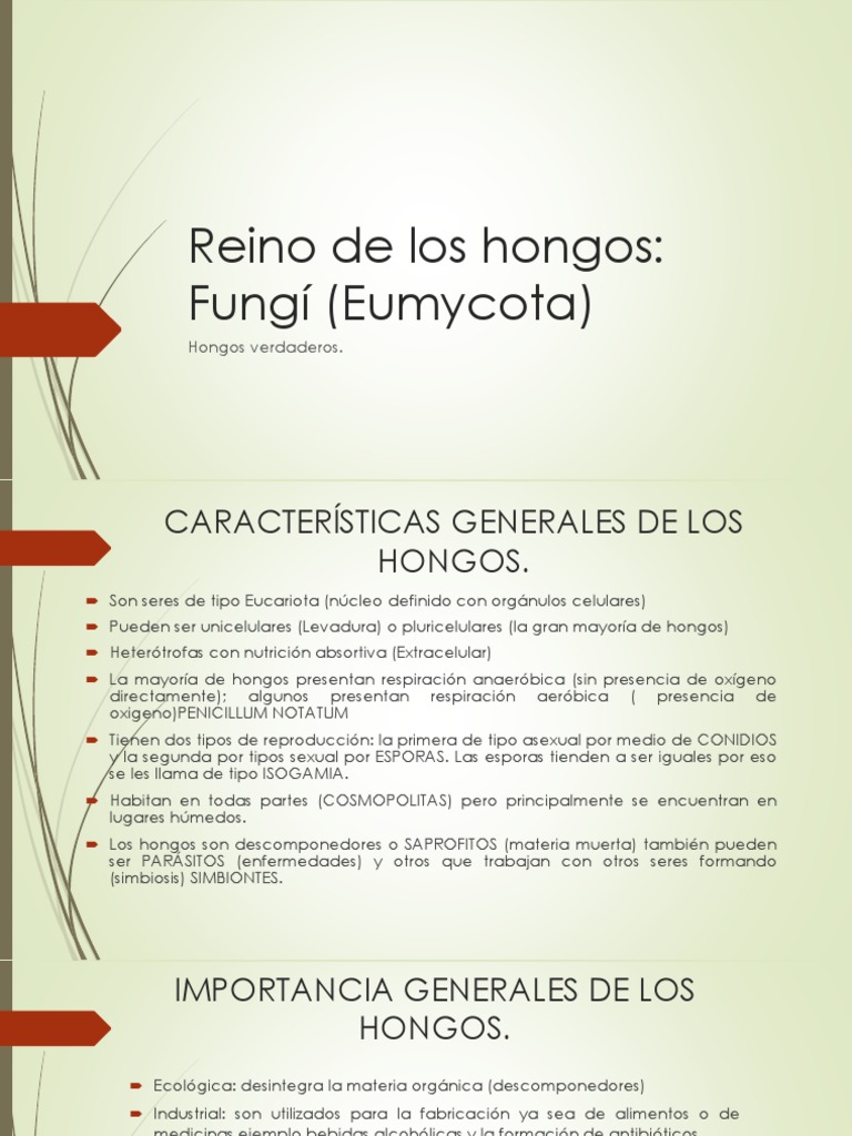 Reino de Los Hongos | PDF | Hongo | Biología