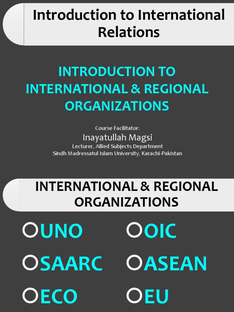 Overview of International & Regional Organizations | PDF | World ...