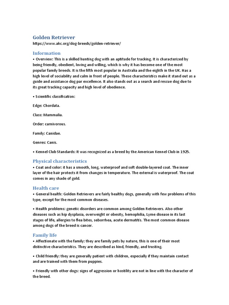 Golden Retriever | PDF | Dogs | Dog Training