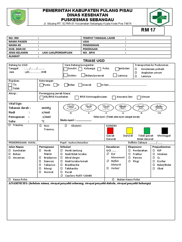 RM.17-20 Status Ugd Perawat Dan Bidan | PDF