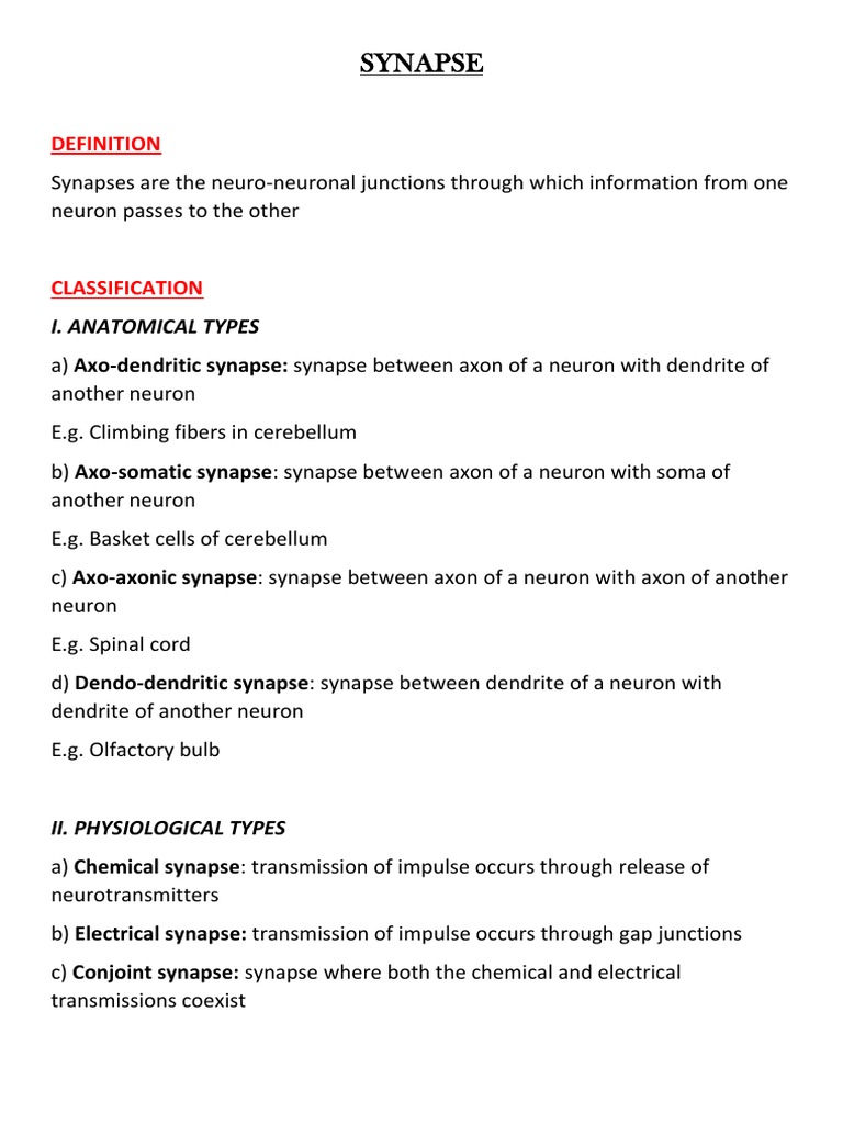 Synapse: I. Anatomical Types | PDF | Chemical Synapse | Synapse