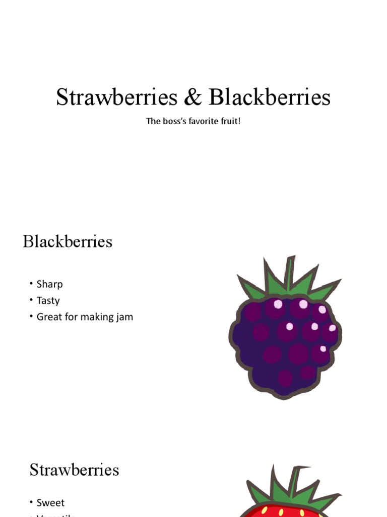 Strawberries & Blackberries: The Boss's Favorite Fruit! | PDF