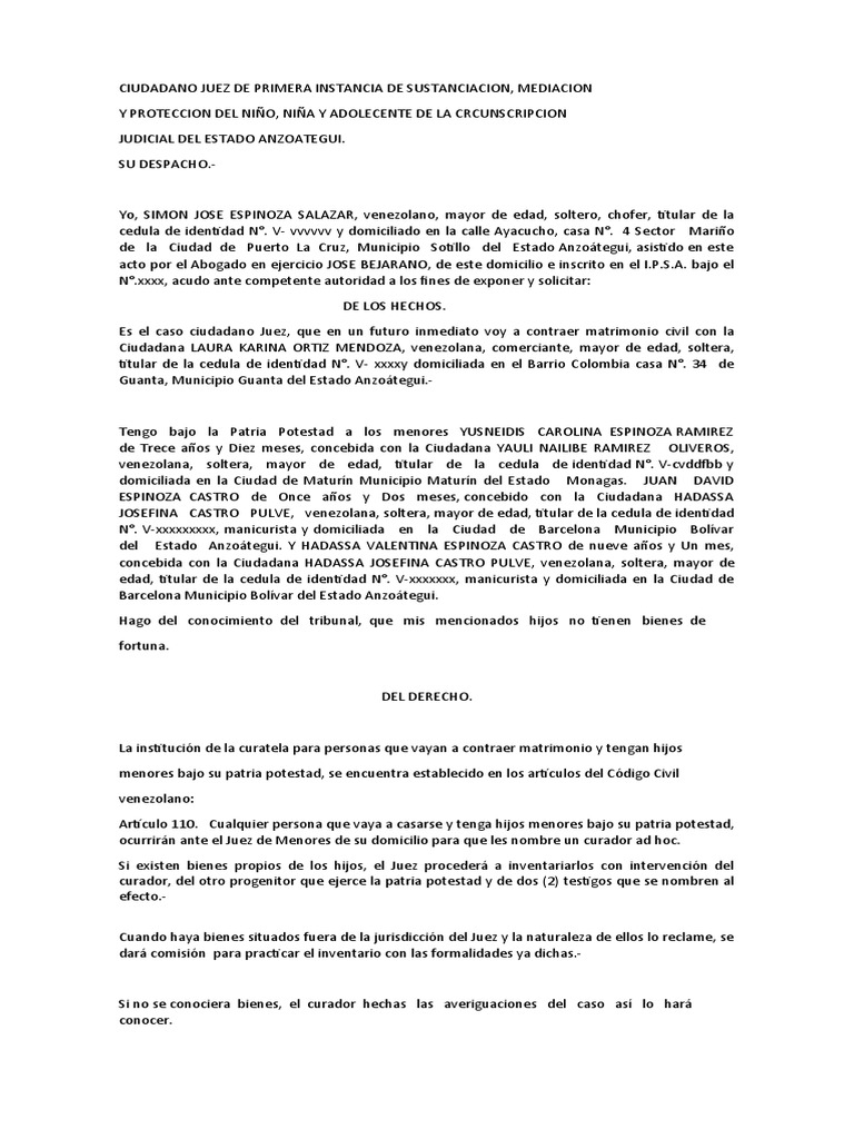 Solicitud de Curatela Actualizado 2022 | PDF | Guardián legal | Gobierno